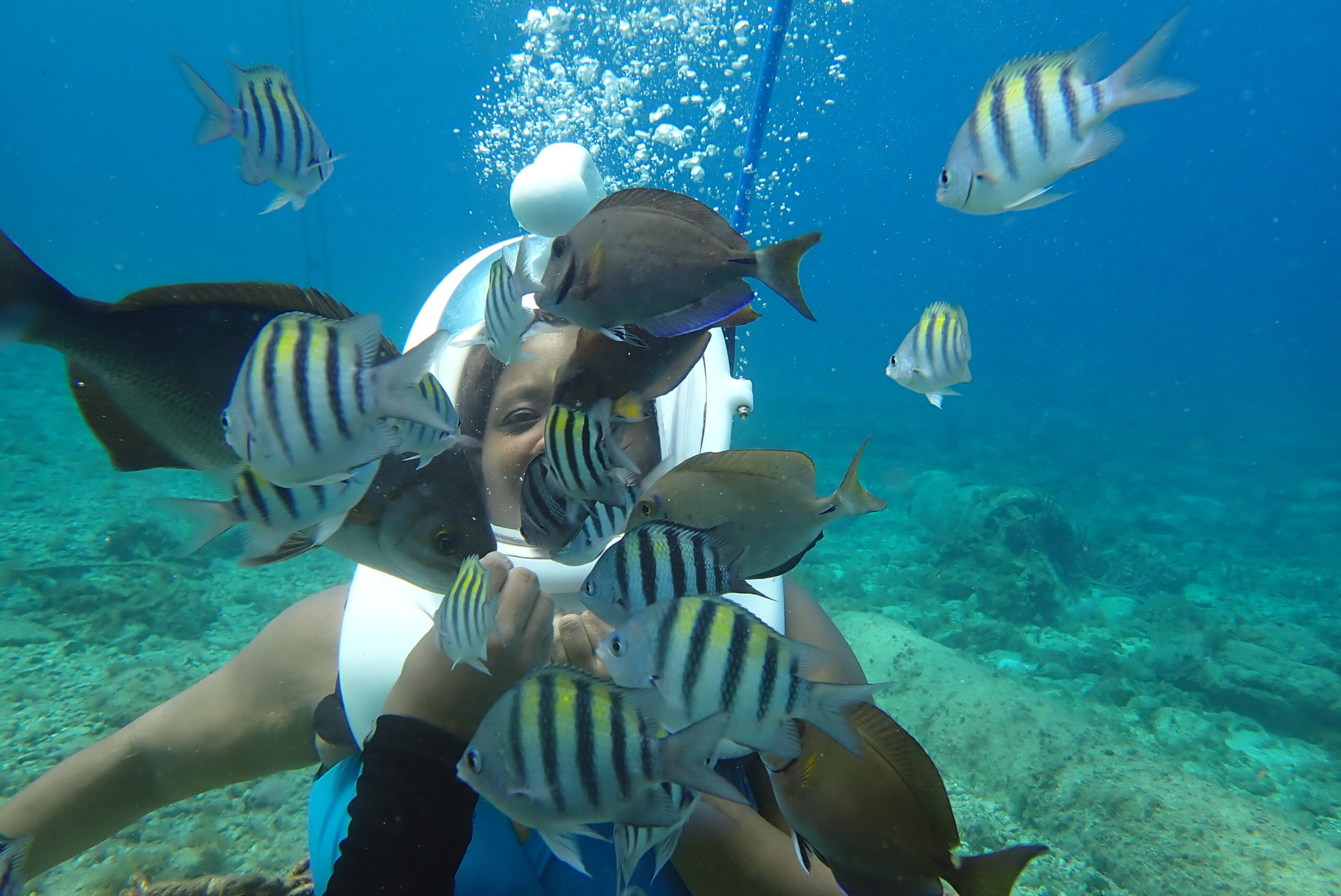 Helmet Diving: Explore Underwater Wonders Safely