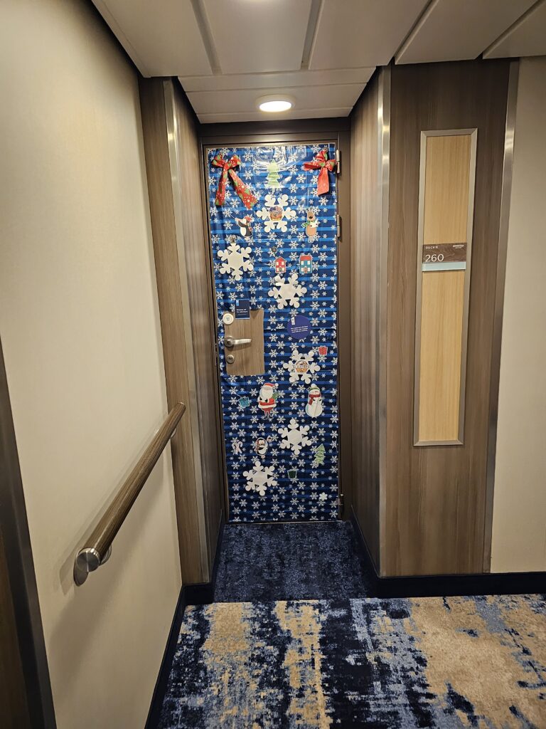 10 Cruise Cabin Door Decoration Ideas That You'll Find Easy