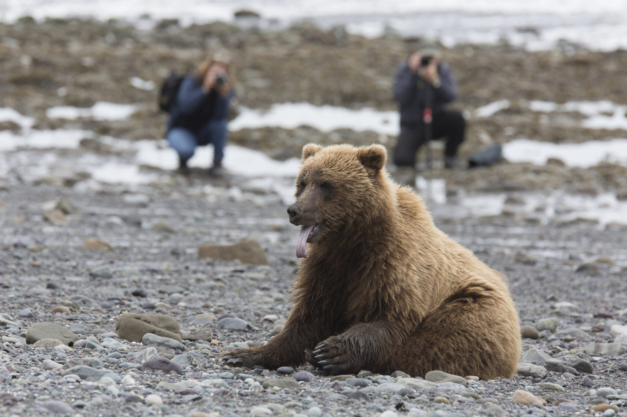Absolutely The Best & Worst Alaska Shore Excursions For First-Timers