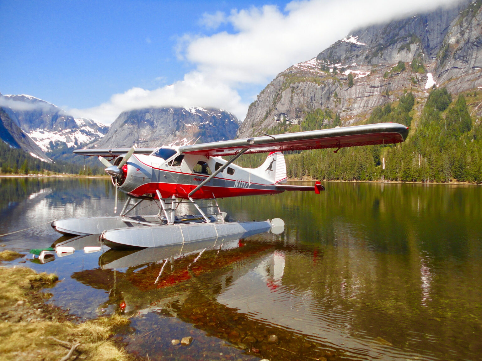 Absolutely The Best & Worst Alaska Shore Excursions For First-Timers
